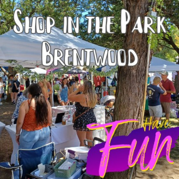 Arts, Crafts, Vendor Fest in the Park | Event Calendar | Contra Costa Live