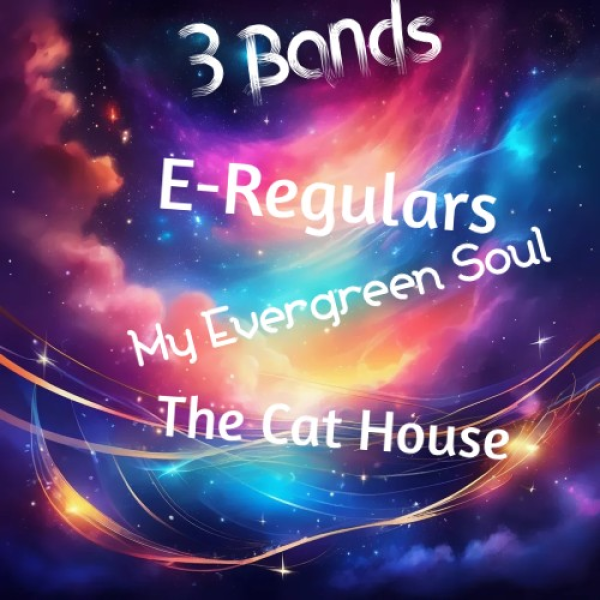 The E-Regulars at Vinnie’s! | Event Calendar | Contra Costa Live